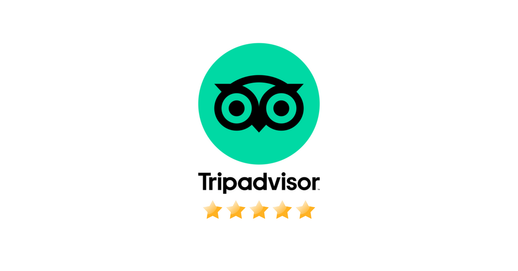 Learn to maximize your local business visibility on TripAdvisor